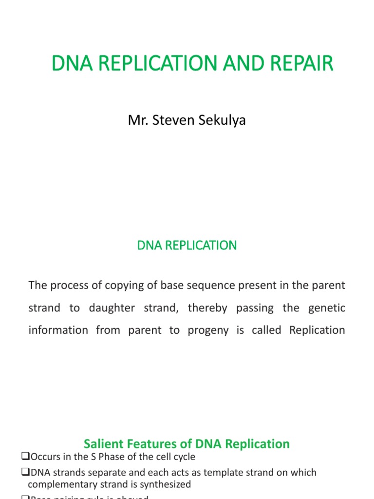 DNA Replication: Key Enzymes and Processes | PDF | Dna Replication ...