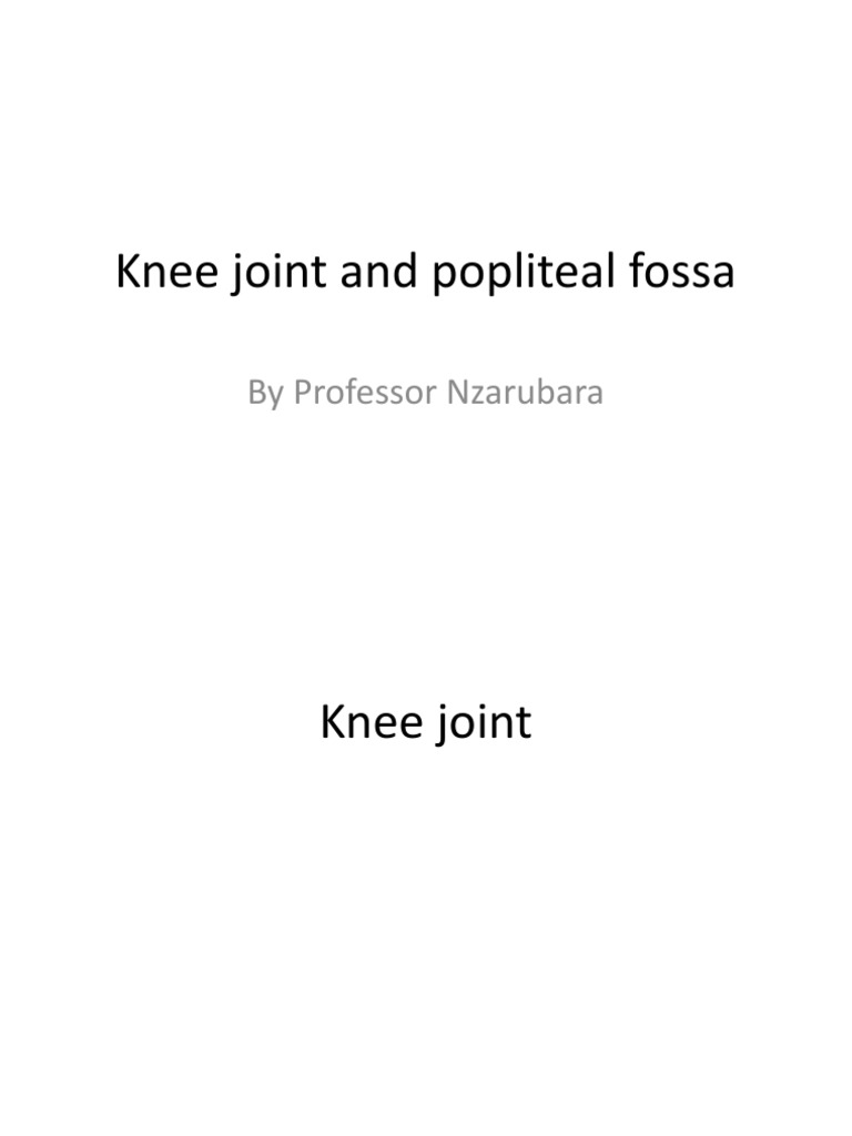 Knee Joint Anatomy and Function | PDF | Knee | Human Leg