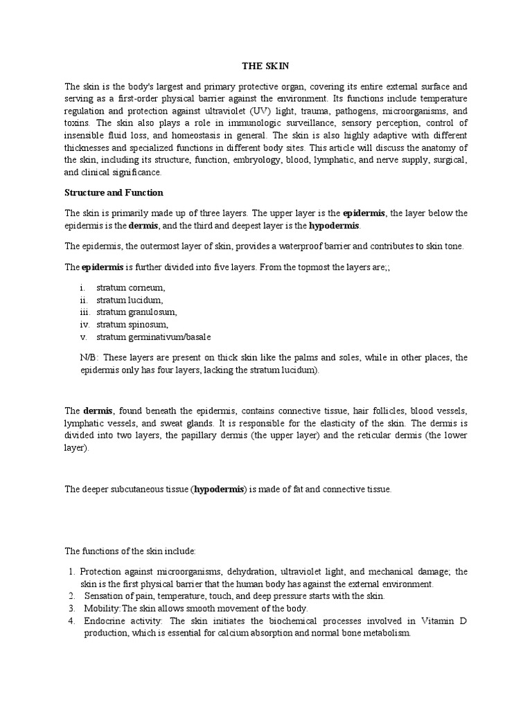 The Skin PDF | PDF | Skin | Epidermis