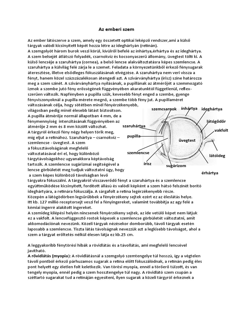 Az Emberi Szem Fizika | PDF