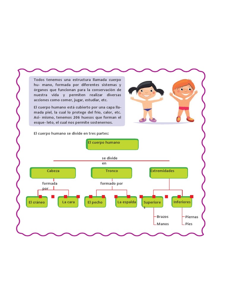 Cuerpo Humano Para Segundo De Primaria Pdf