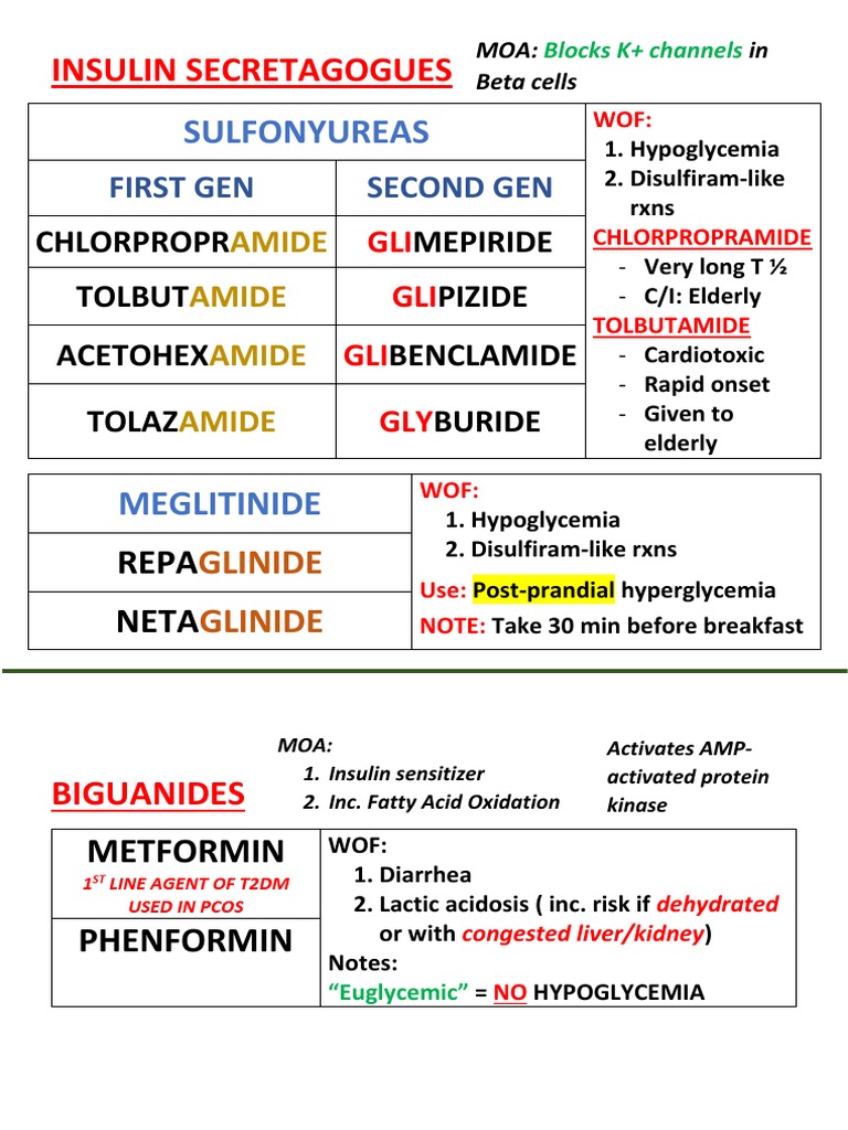 Diabetes Drug Classes Overview | PDF | Human Diseases And Disorders ...