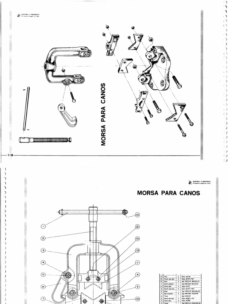 Morsa Cano PDF | PDF
