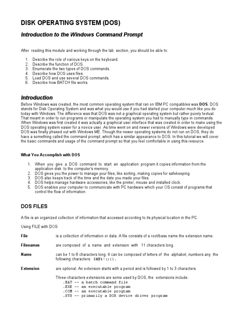 Disk Operating System | Download Free PDF | Dos | Operating System