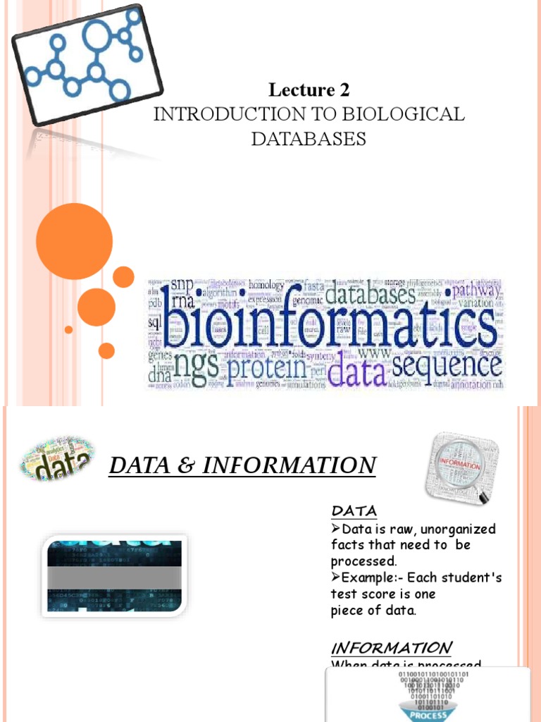 Biological Databases Lec 2,3 | PDF | Pub Med | National Center For ...