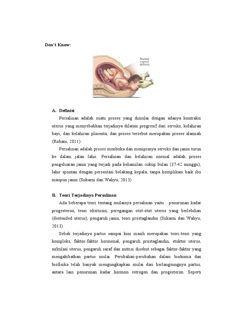 LP Persalinan Normal | PDF