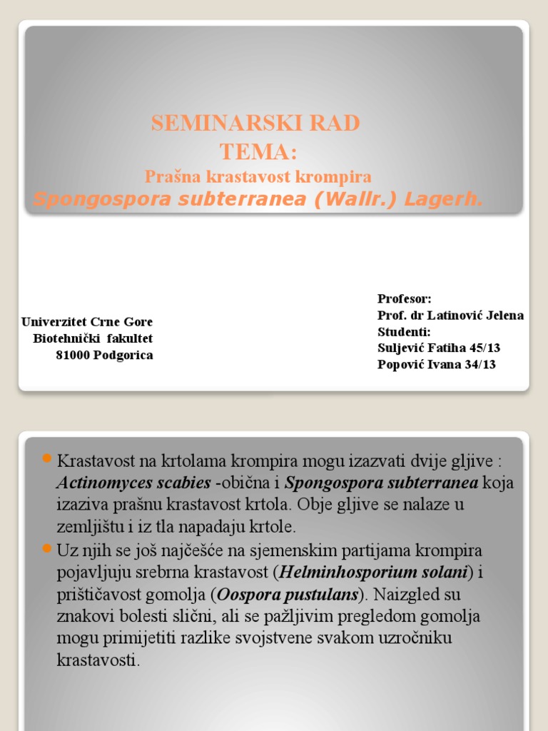 Seminarski Rad | PDF