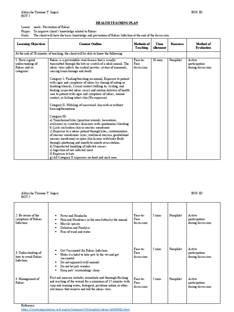 Preventing the Bite: A Health Teaching Plan on Rabies Prevention | PDF ...