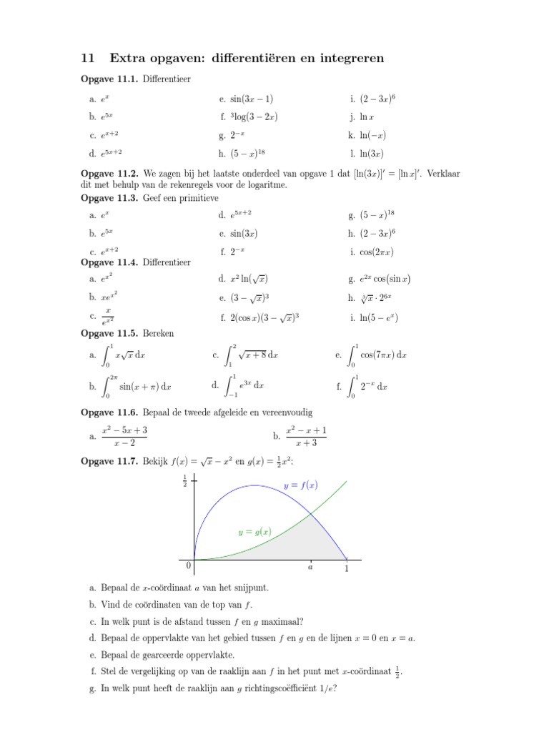 Differentieren en Integreren Oefeningen | PDF