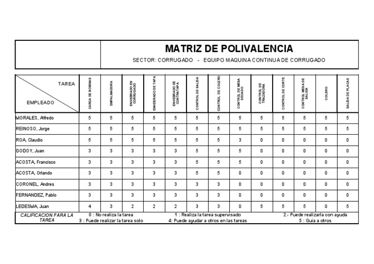 Matriz de Polivalencia | PDF