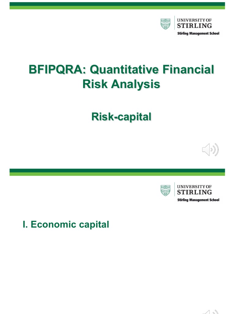 RAROC and Capital Allocation | PDF | Cost Of Capital | Financial Risk