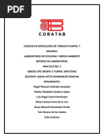 Recetario Herbolario | PDF | Té | Albahaca