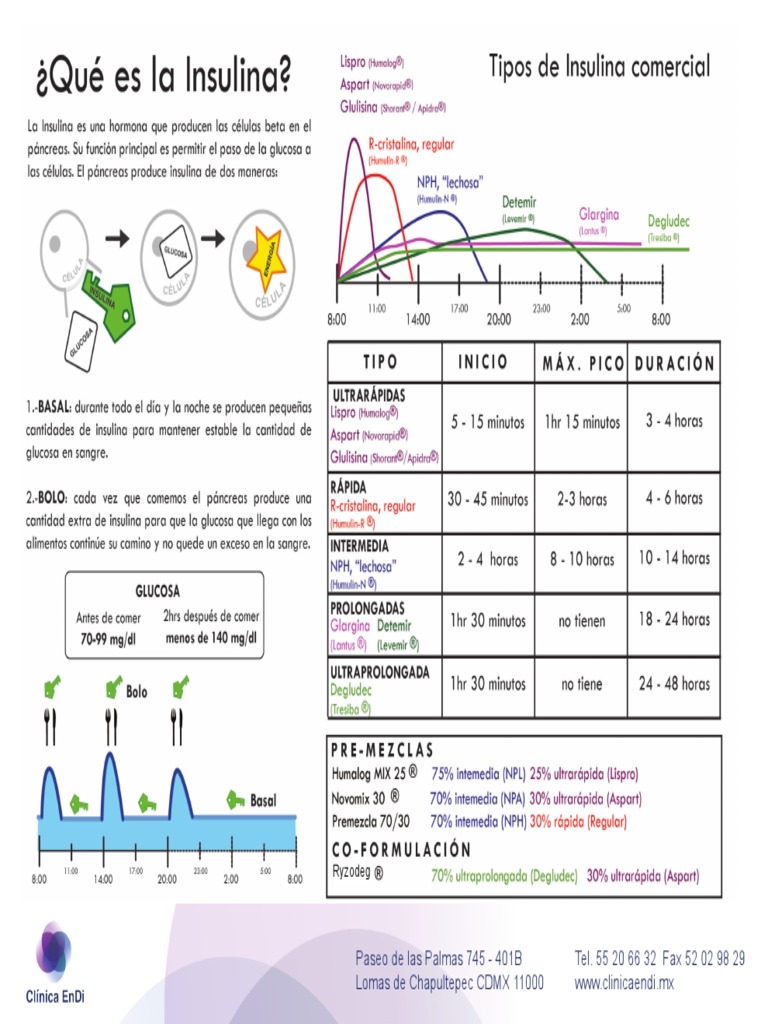 TIpos de Insulina | PDF