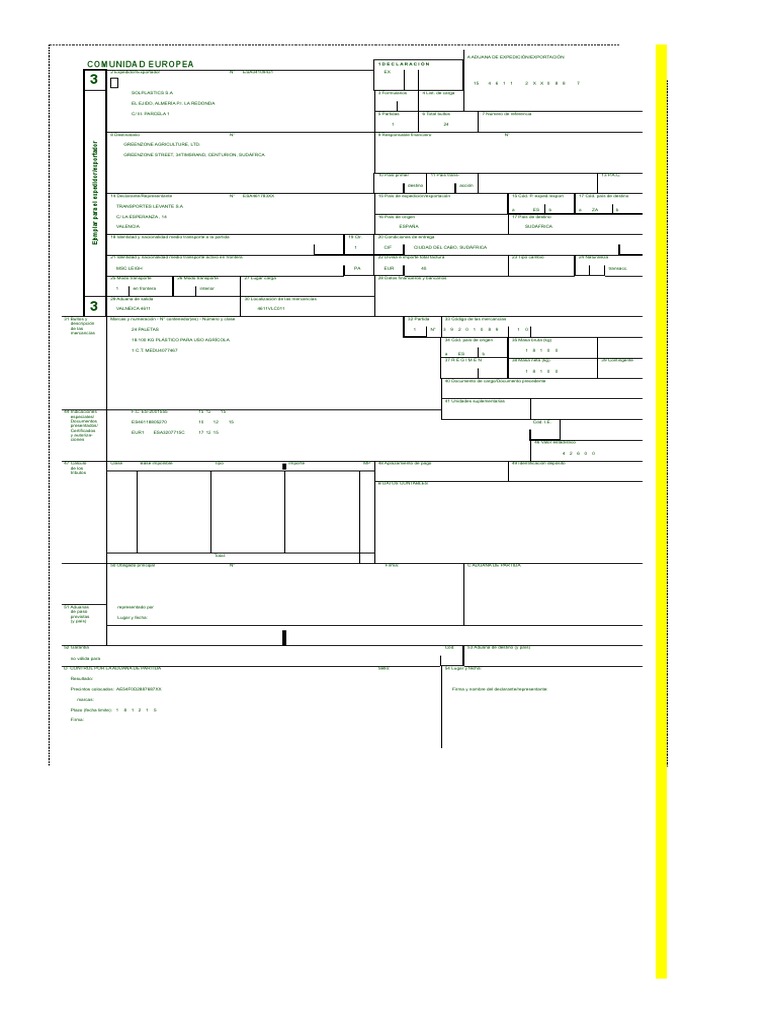 Plantilla DUA para Exportación | PDF | Economias