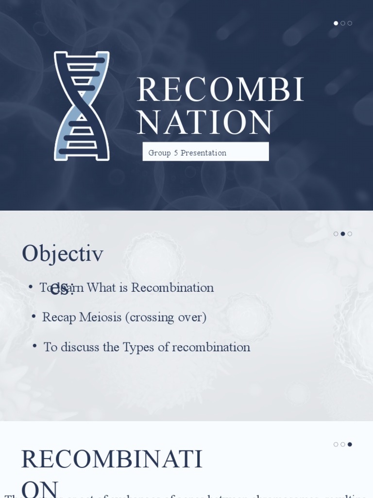 Biology PPT Group 5 | PDF | Genetic Recombination | Meiosis