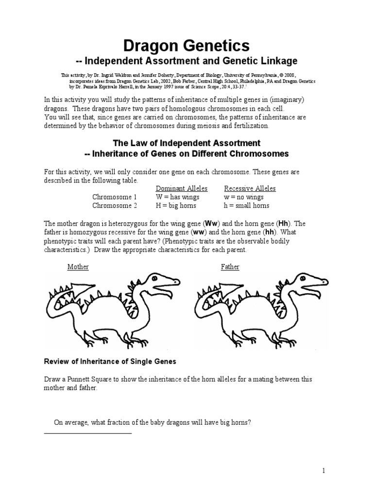Dragon Genetics 10 Biology | PDF | Zygosity | Dominance (Genetics)