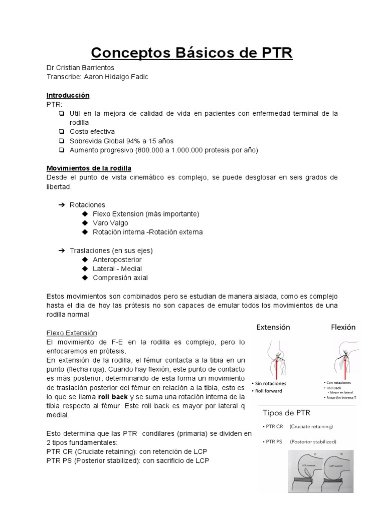 Conceptos Básicos de PTR PDF | PDF | Rodilla | Anatomía del miembro inferior