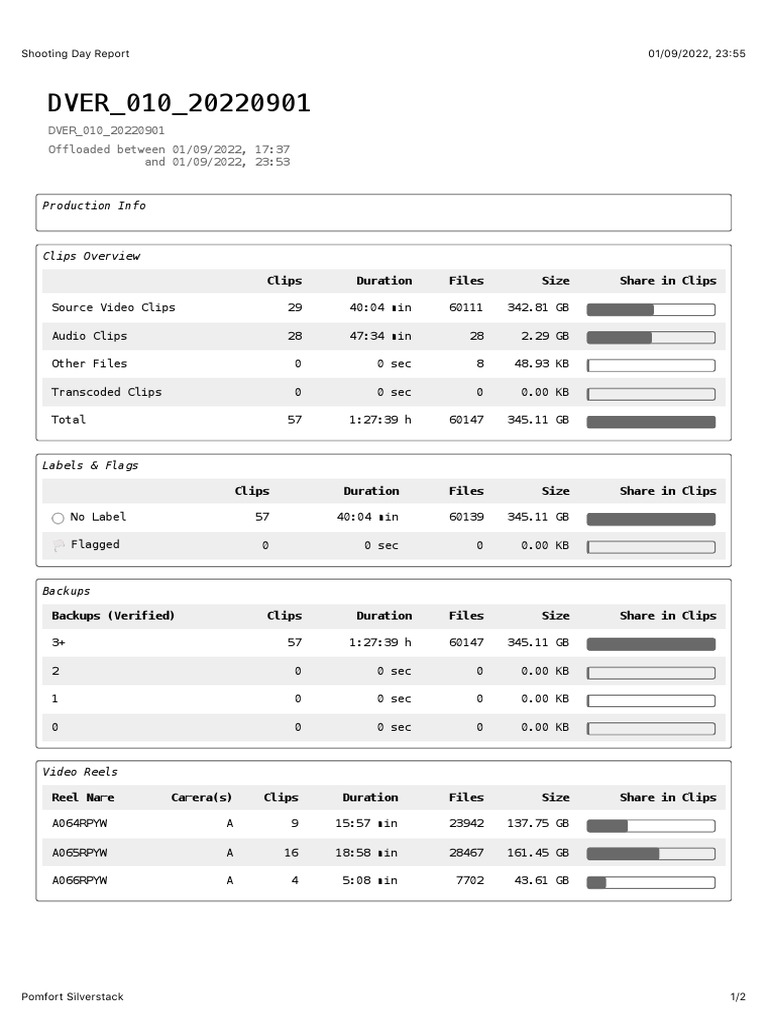 DVER - 010 - 20220901 - Shooting Day Report - DVER - 010 - 20220901 | PDF | Film And Video ...