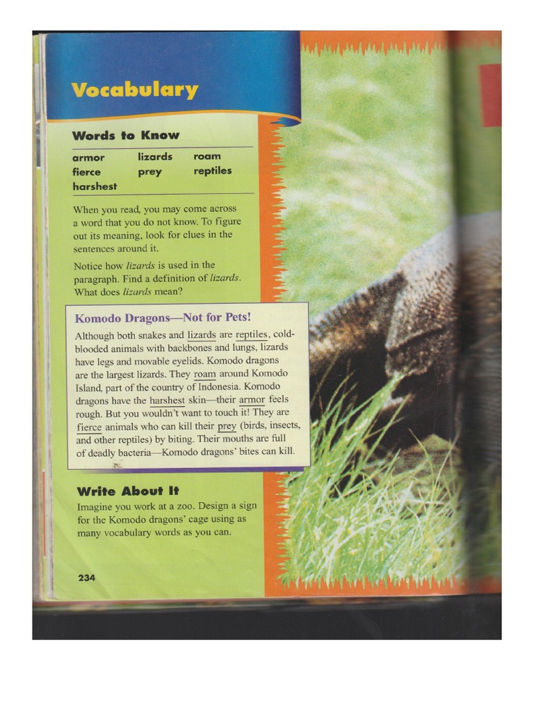 Komodo Dragons Reading | PDF