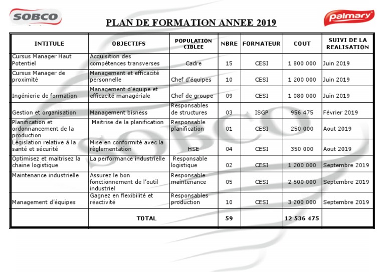Plan de Formation Annuel | PDF