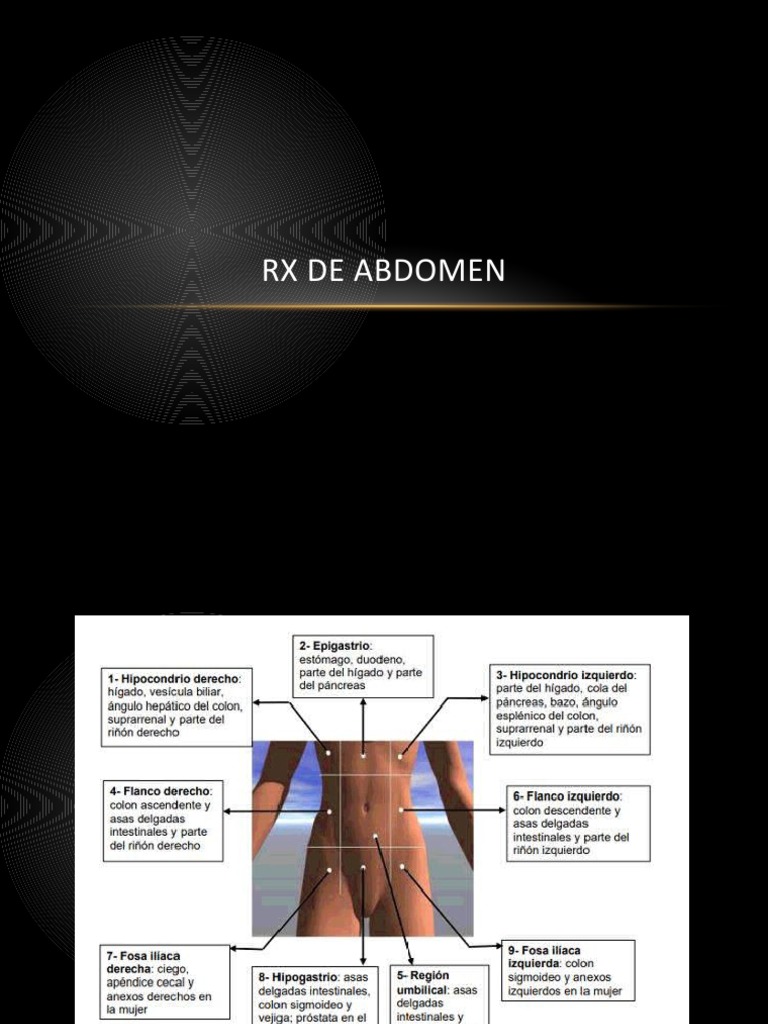 Radiografia de Abdomen | PDF | Abdomen | Anatomía