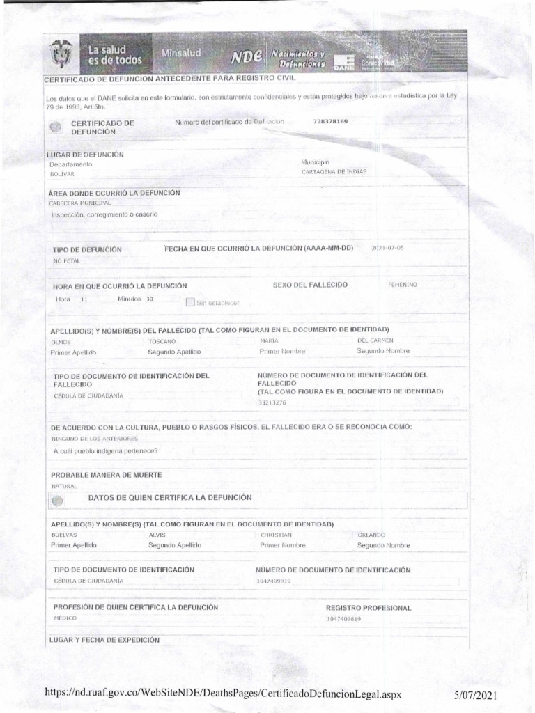 Certificado de Defuncion | Descargar gratis PDF | Gobierno y ...