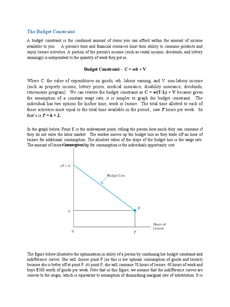 Understanding Budget Constraints in Economics | PDF | Career & Growth ...