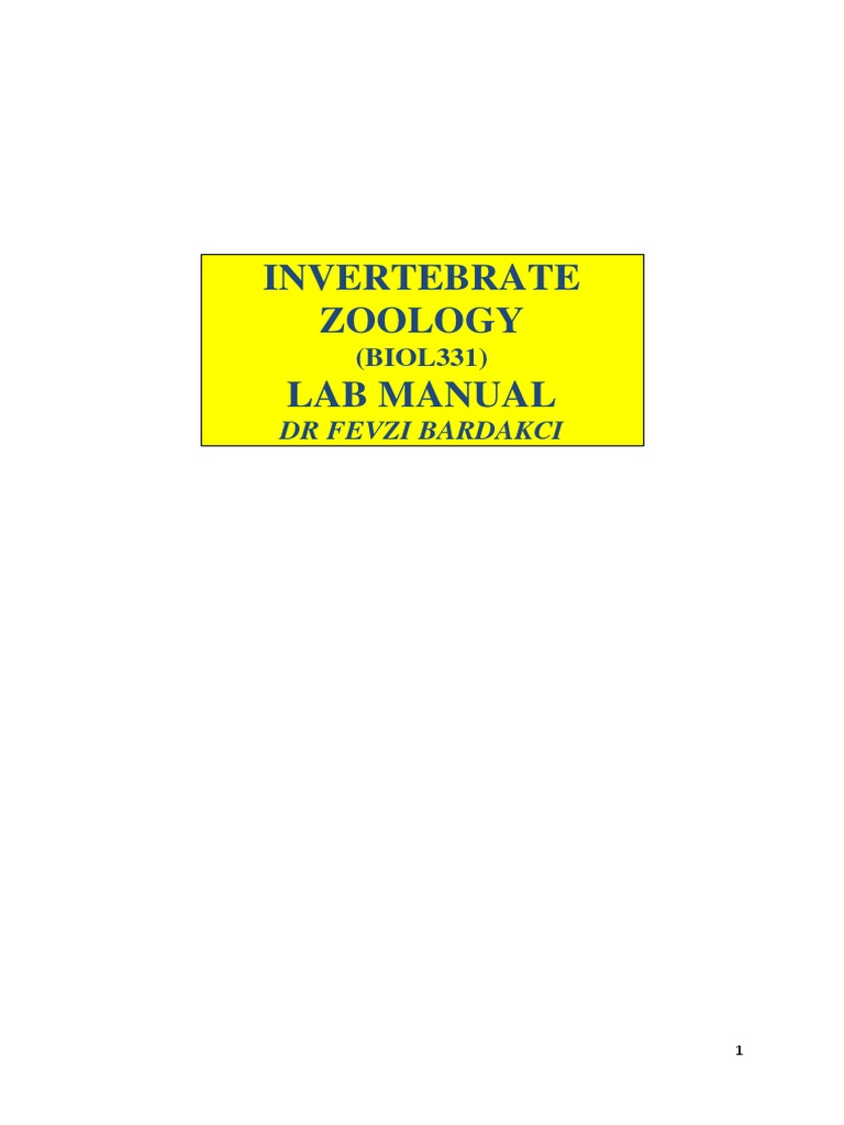 Practical Guide Invertebrates PDF | PDF | Sponge | Mollusca
