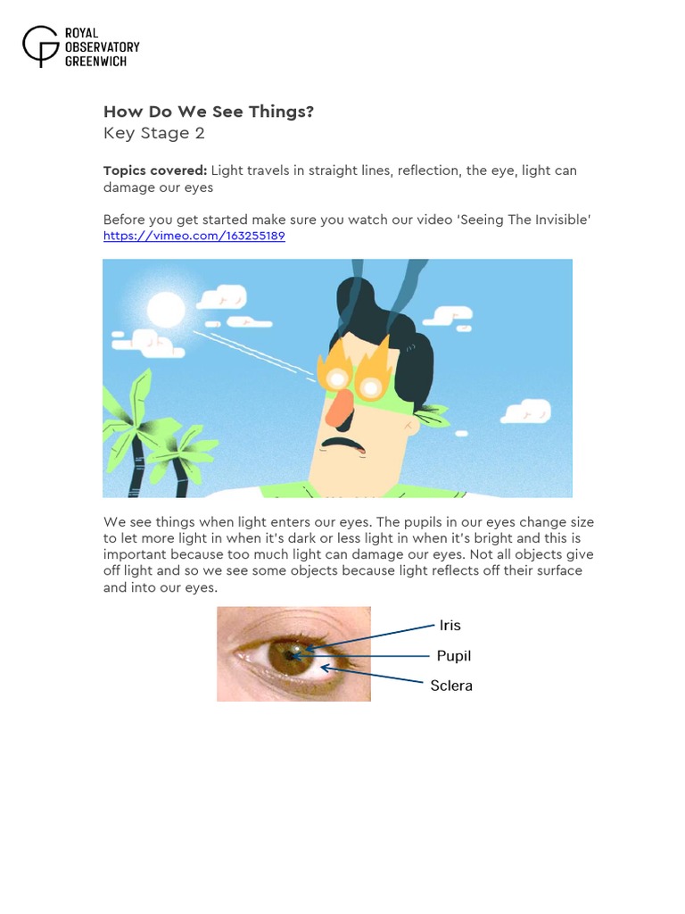 KS2 How Do We See Things | PDF | Eye | Light