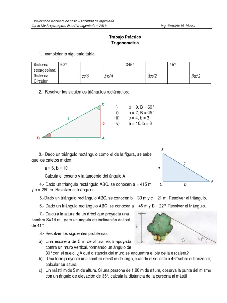 TP N°5 Trigonometría | Descargar gratis PDF | Triángulo | Funciones trigonométricas
