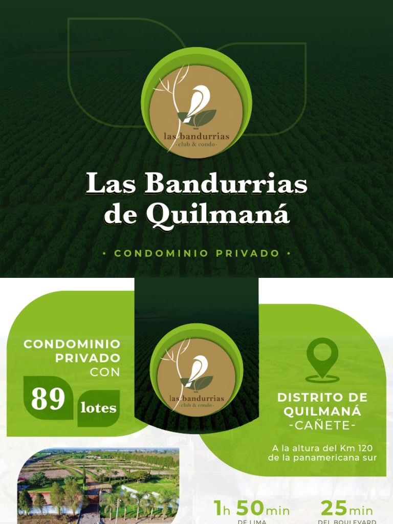 Las Bandurrias de Quilmaná-1 PDF | PDF