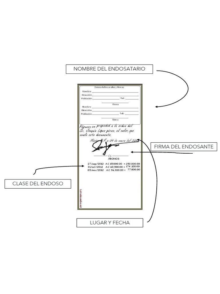 Trabajo Del Endoso Derecho | PDF