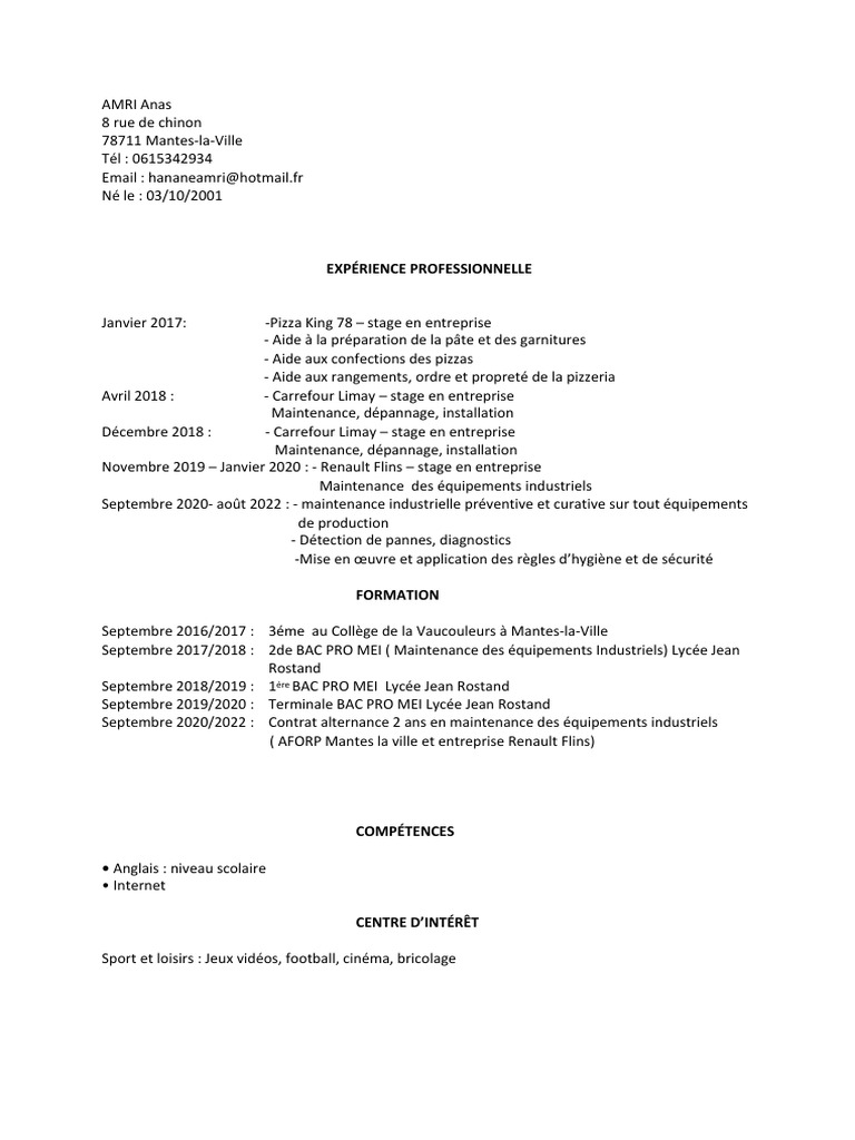 CV Anas PDF | PDF | Affaires