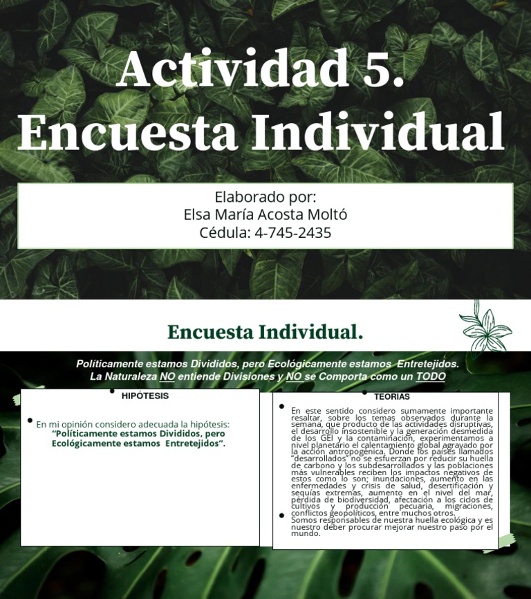 05 - Formato Encuesta Individual - Elsa - Acosta - Moltó PDF | PDF ...