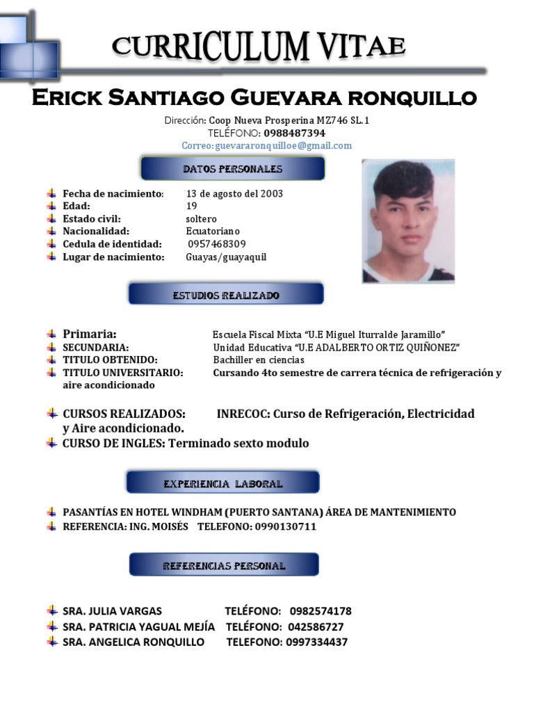 Curriculum Erick | PDF