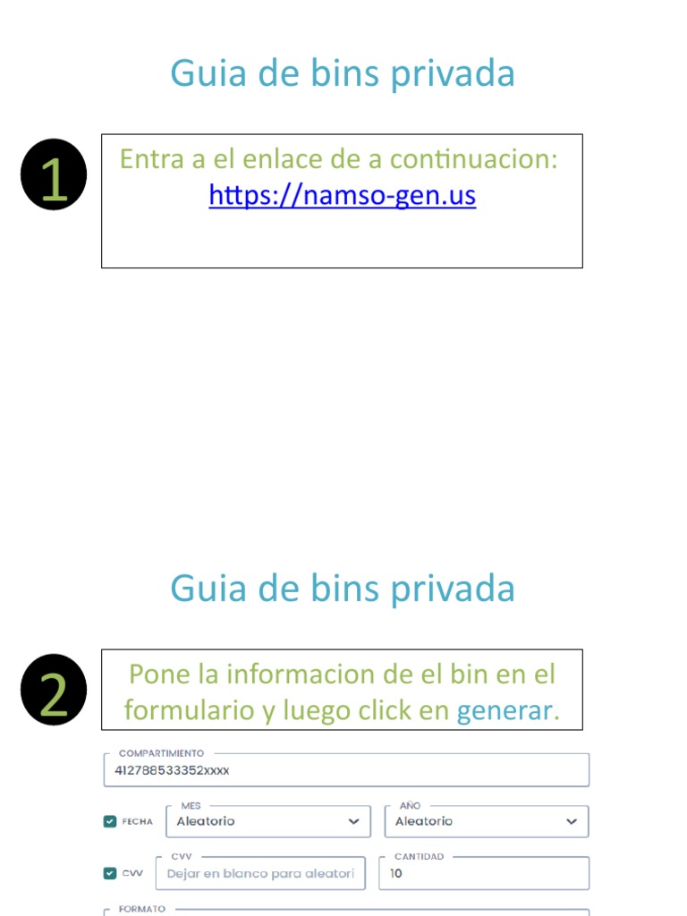 Guia de Bins Privada-1 | PDF