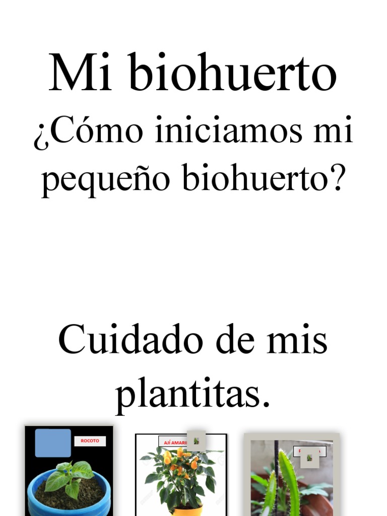 Mi Biohuerto FAH | PDF