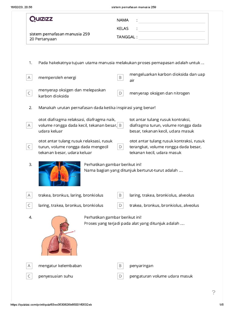 Sistem Pernafasan Manusia 259 PDF | PDF