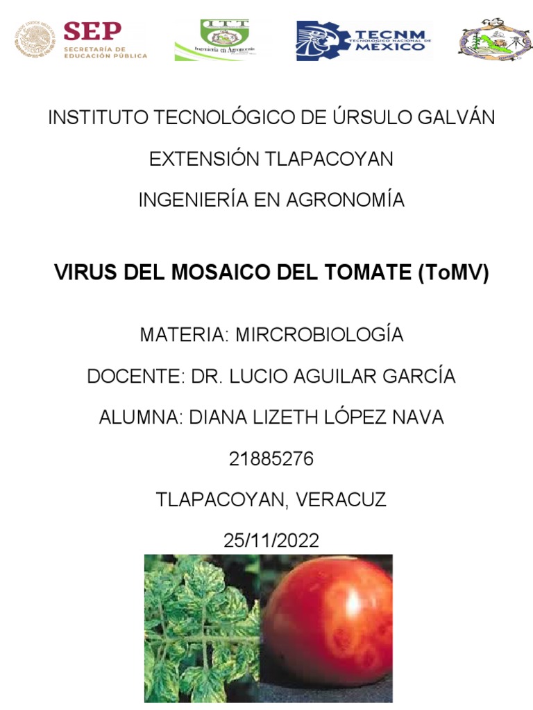 El Virus Del Mosaico Del Tomate | PDF | Virus | La transcriptasa inversa