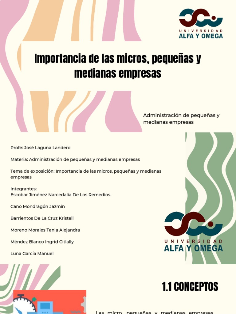 Importancia de Las Micros, Pequeñas y Medianas Empresas PDF | PDF | Pequeñas y medianas empresas ...