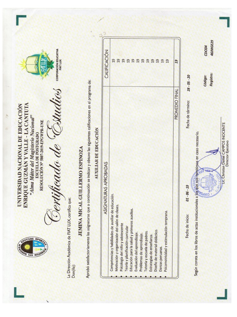 Certificado de Auxiliar en Educacion PDF | PDF
