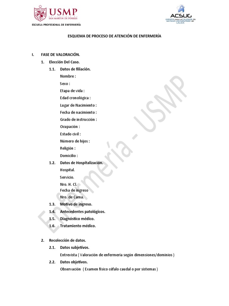 Esquema PAE - 2020 | PDF | Enfermería | Especialidades Medicas