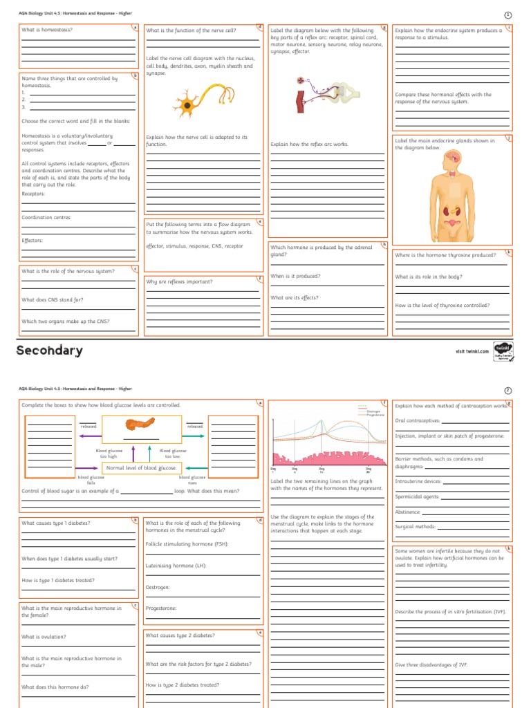 AQA Biology GCSE Unit 4.5 Homeostasis and Response Higher Revision ...