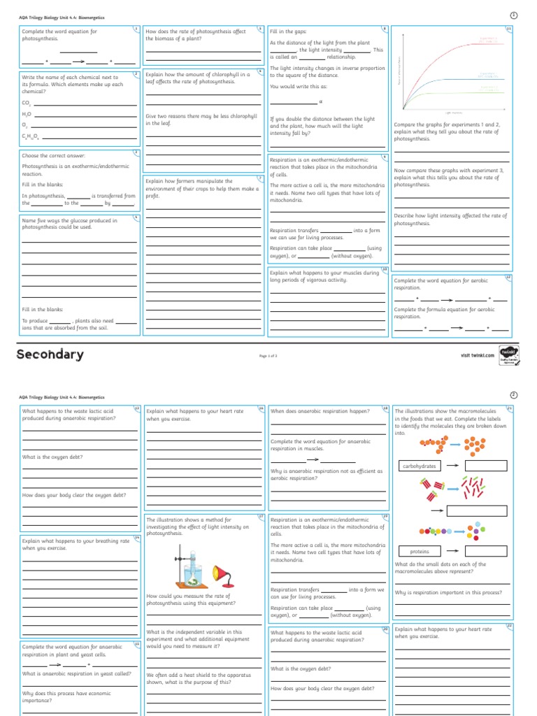 AQA Biology GCSE Unit 4.4 Bioenergetics Higher Revision Activity Mat ...