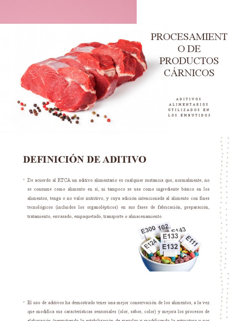 Aditivos en Embutidos: Guía Esencial | PDF | Alimentos | Carne