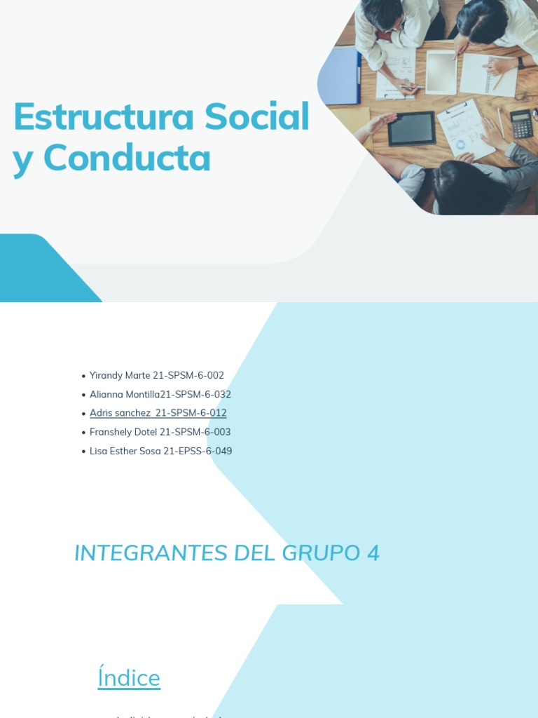 Estructura Social PDF | Descargar gratis PDF | Sociedad | Institución