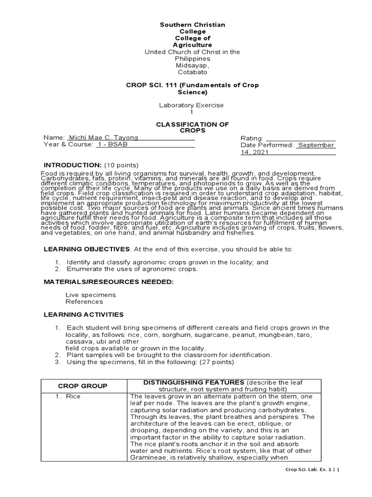Crop Sci Lab Activity | PDF | Foods | Leaf