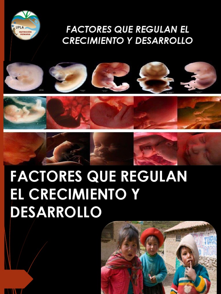2.2. Factores Que Regulan El Crecimiento y Desarrollo Fetal PDF ...