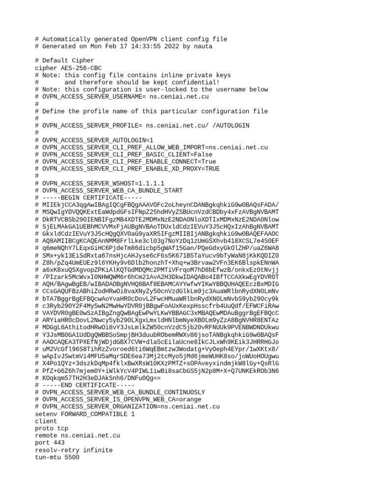Client Ovpn Pdf Security Engineering Computer Science