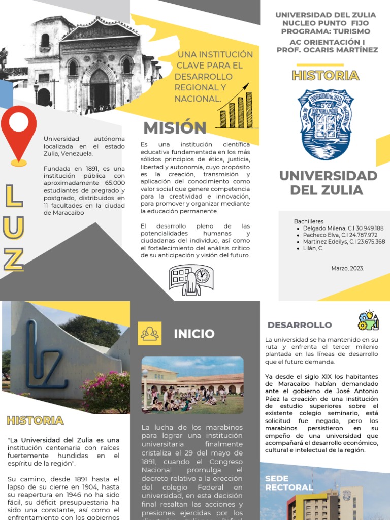 Folleto Brochure de Servicios Empresa Profesional Amarillo PDF | PDF